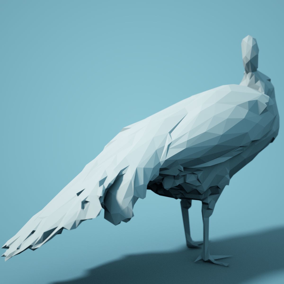 3D model Bird Collection V4 Low Poly Models VR / AR / low-poly | CGTrader