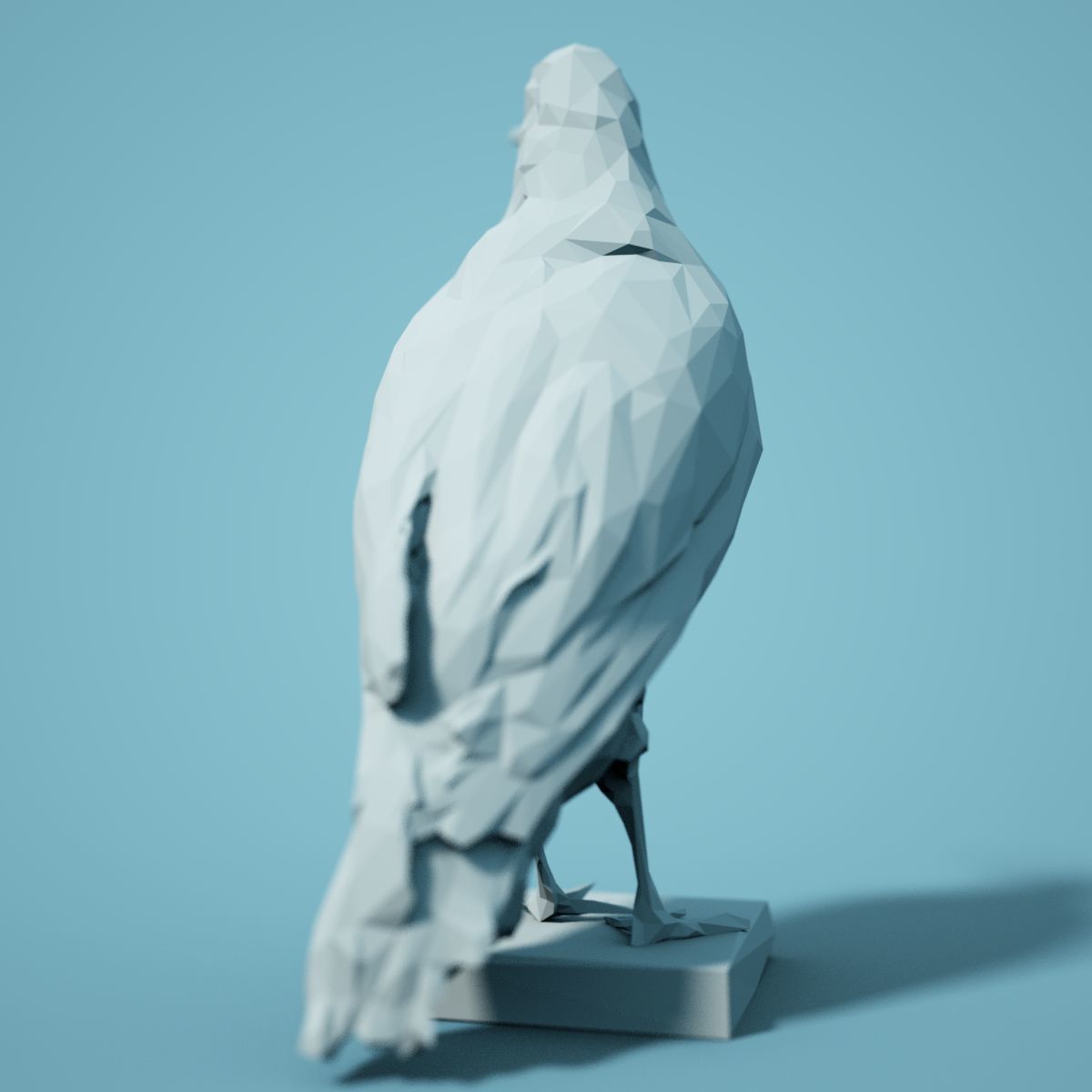 3D model Bird Collection V4 Low Poly Models VR / AR / low-poly | CGTrader