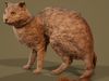 3D model Cat Photorealistic Posed VR / AR / low-poly | CGTrader