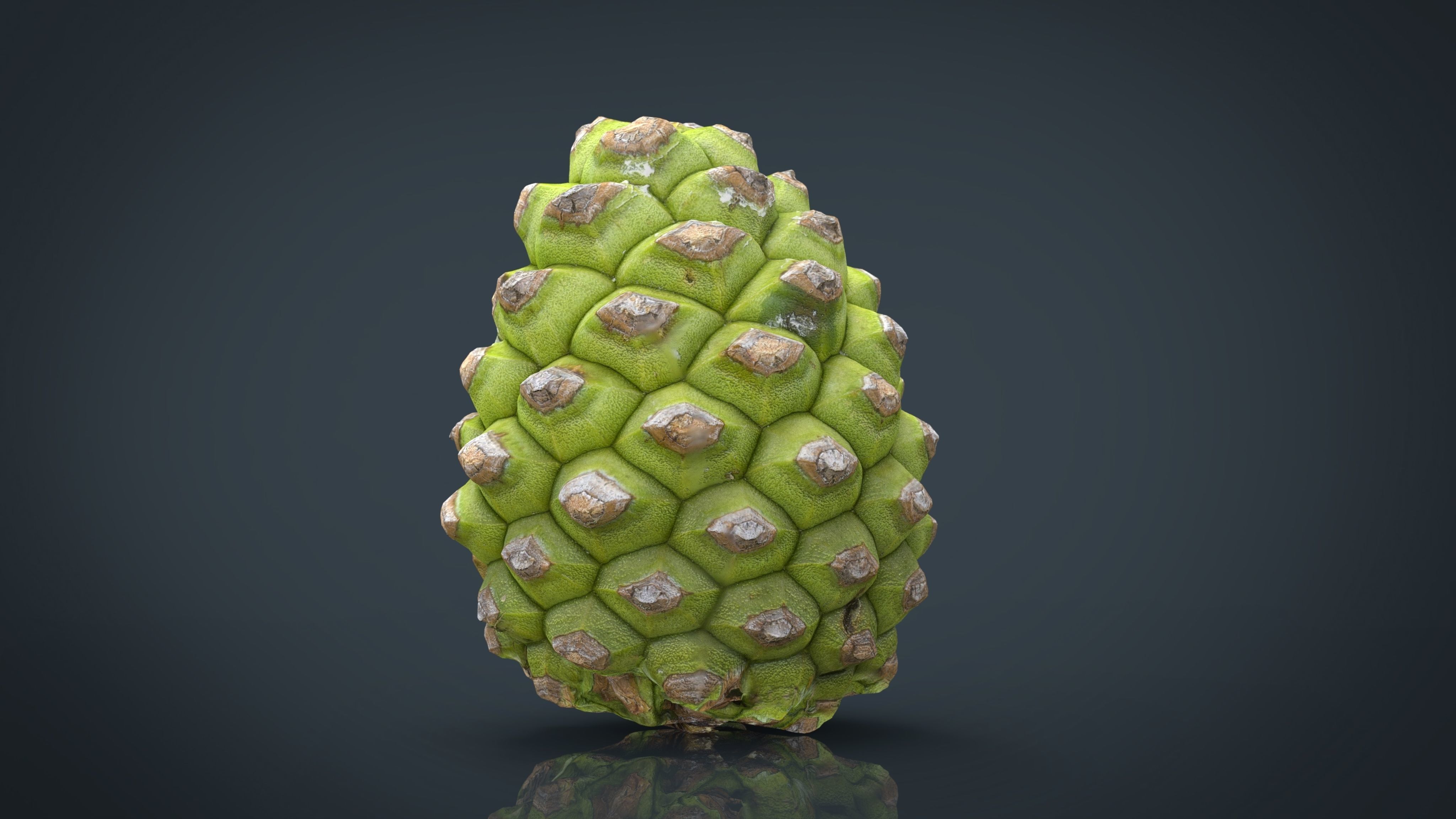 3D model Pinecone 2 pineapple VR / AR / low-poly | CGTrader