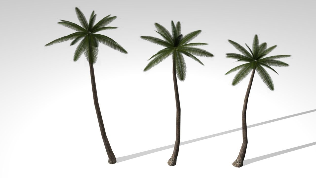 3D model Lowpoly Coconut Tree VR / AR / low-poly | CGTrader