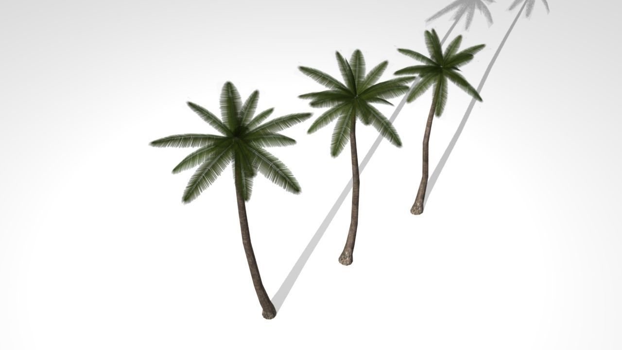 3D model Lowpoly Coconut Tree VR / AR / low-poly | CGTrader