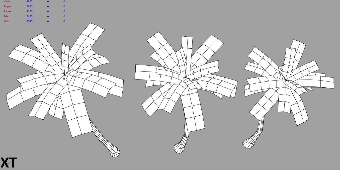 3D model Lowpoly Coconut Tree VR / AR / low-poly | CGTrader