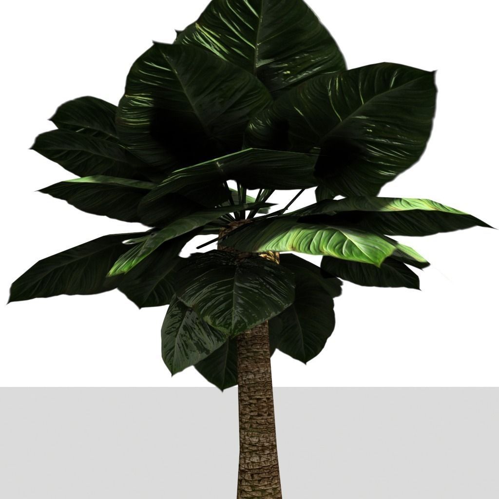 3D model Alien Tree Game model VR / AR / low-poly | CGTrader