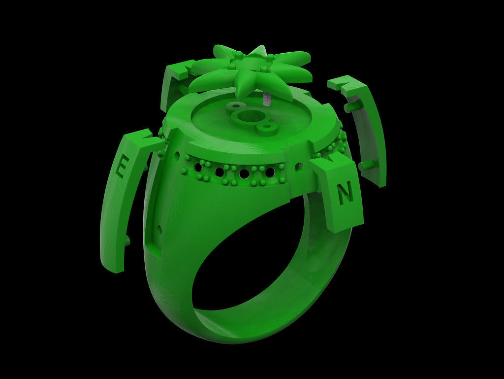 Compass rose ring 3D model 3D printable | CGTrader