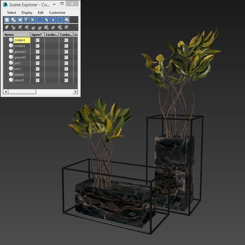 Croton trees 3D model | CGTrader