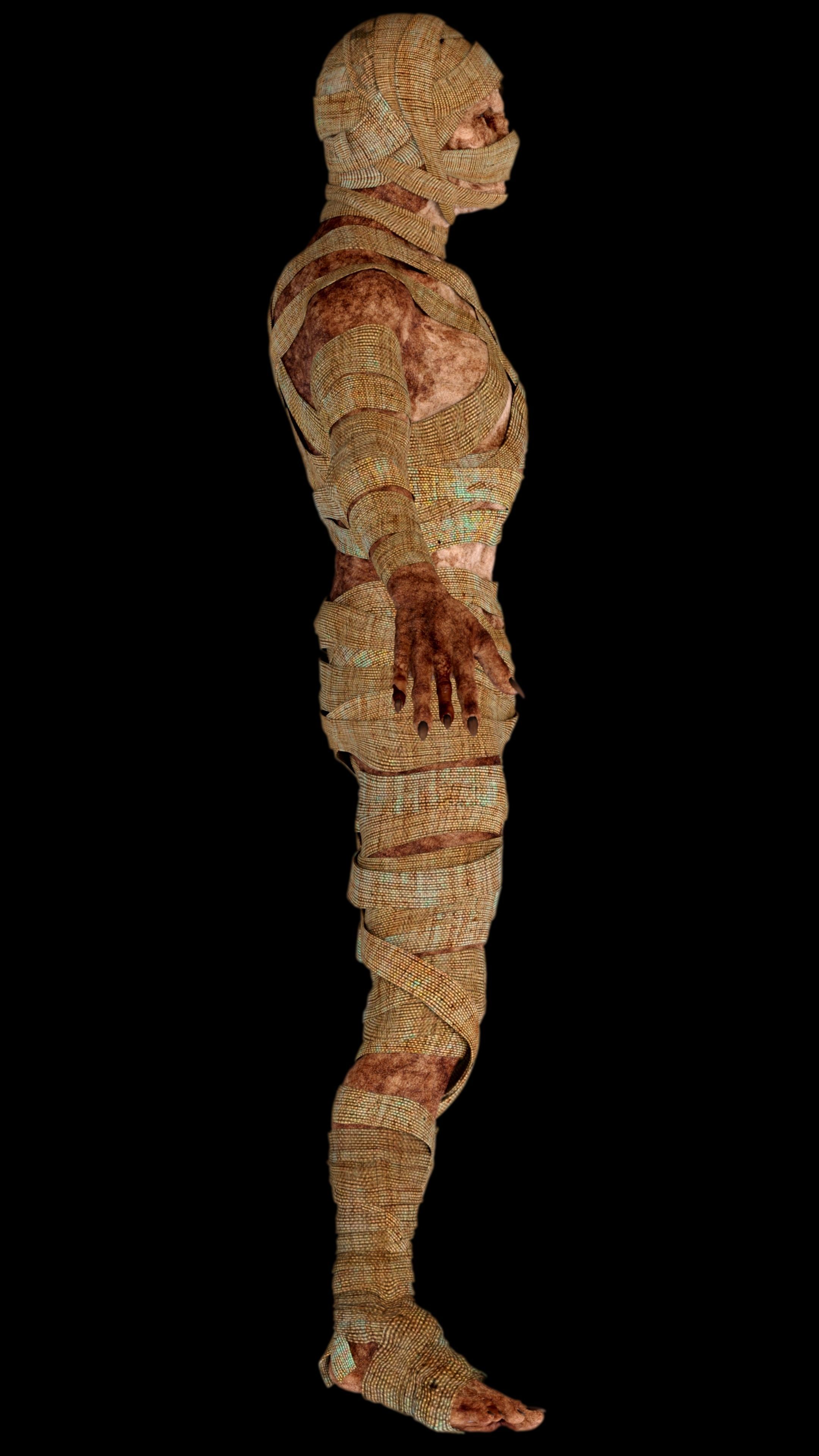 Mummy human body 3D model animated rigged | CGTrader