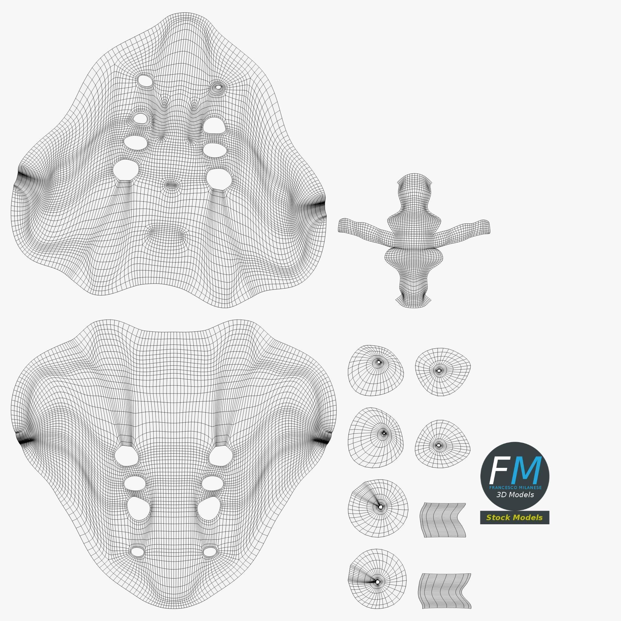 Anatomy - Sacrum and Coccyx 3D model | CGTrader