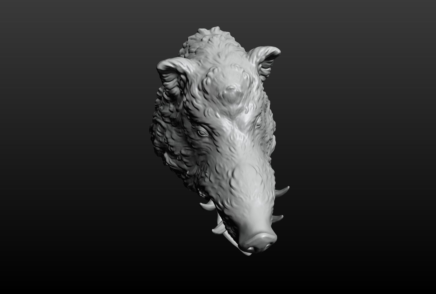 Boars head 2 3D model 3D printable | CGTrader