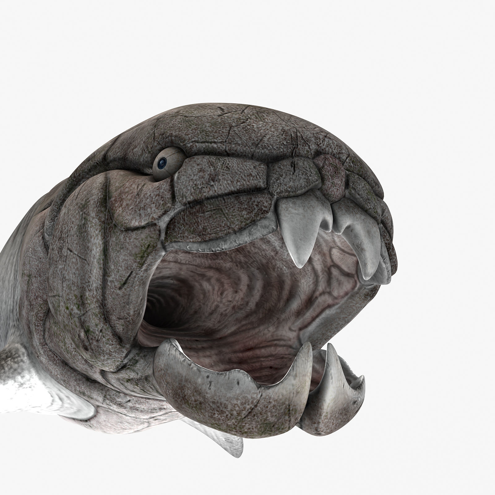 3D model Dunkleosteus VR / AR / low-poly | CGTrader