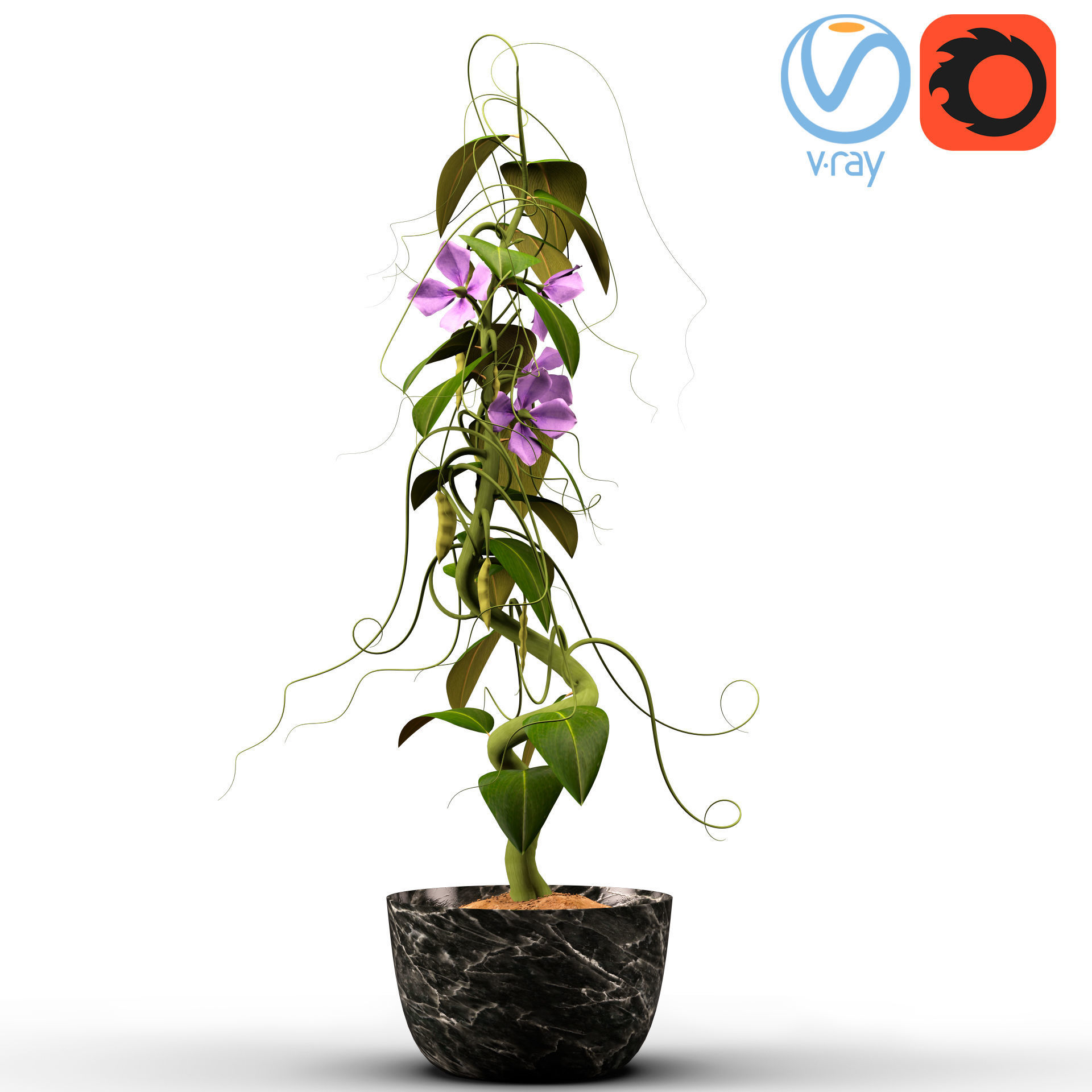 3D model Peas - With animation - Low poly VR / AR / low-poly animated ...