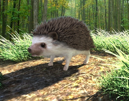 Hedgehog 3D Models | CGTrader