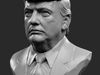 Donald Trump 3D model 3D printable | CGTrader