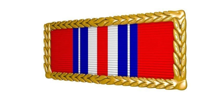 Valorous Unit Award 3D model | CGTrader