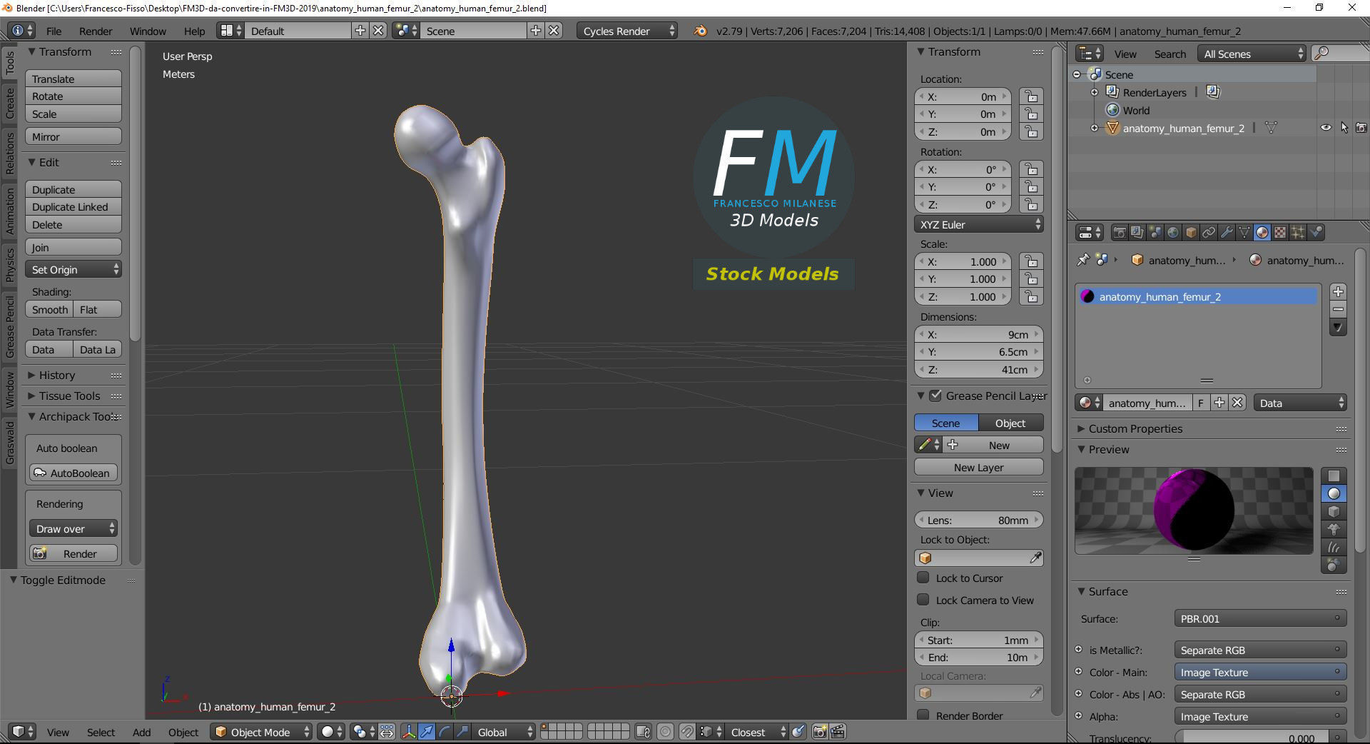 3D model Anatomy - Human Femur 2 VR / AR / low-poly | CGTrader
