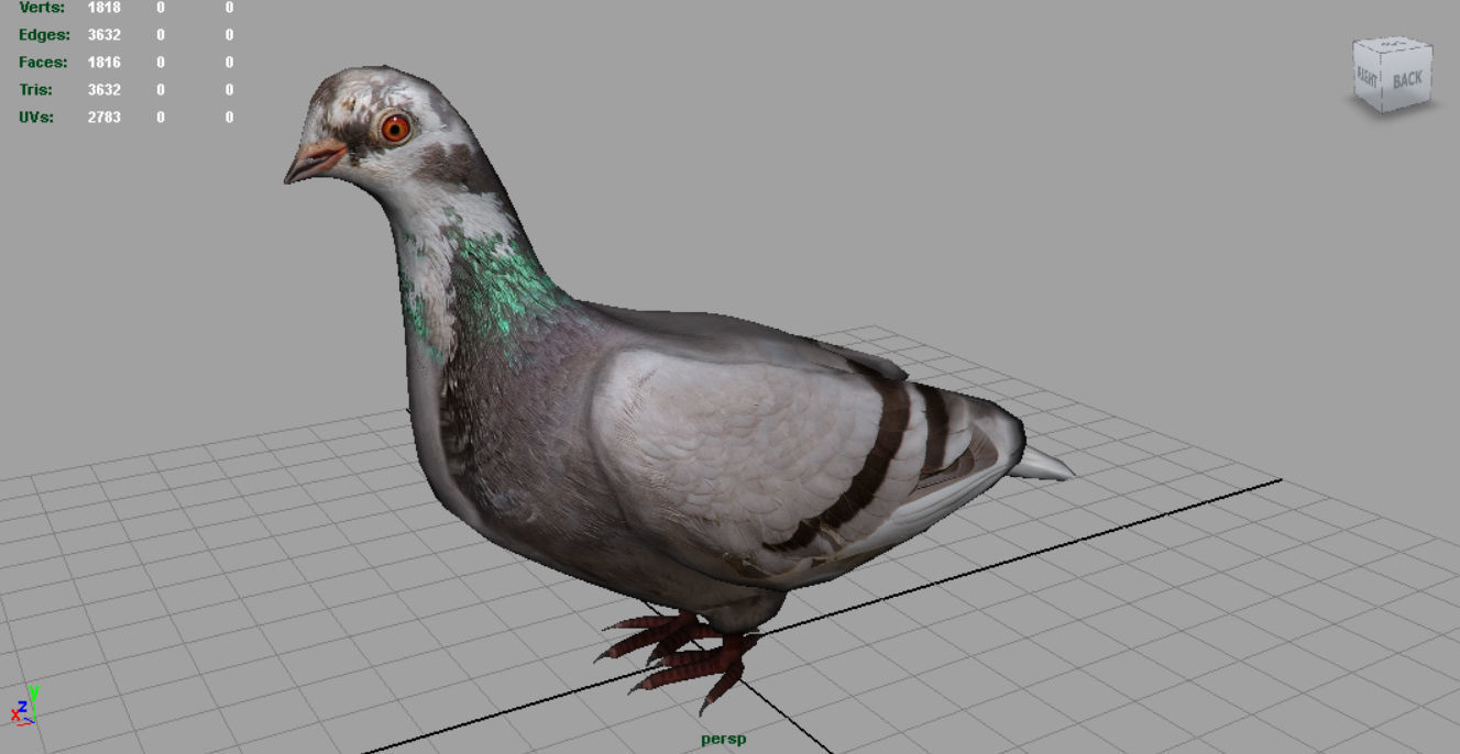 3D model Dove Low-Poly pigeon VR / AR / low-poly | CGTrader