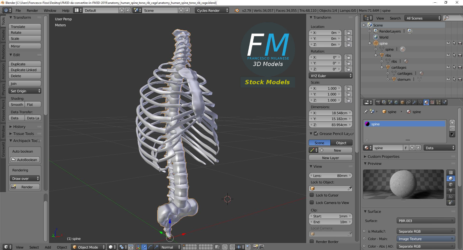 Anatomy Human spine torso and rib cage 3D model | CGTrader