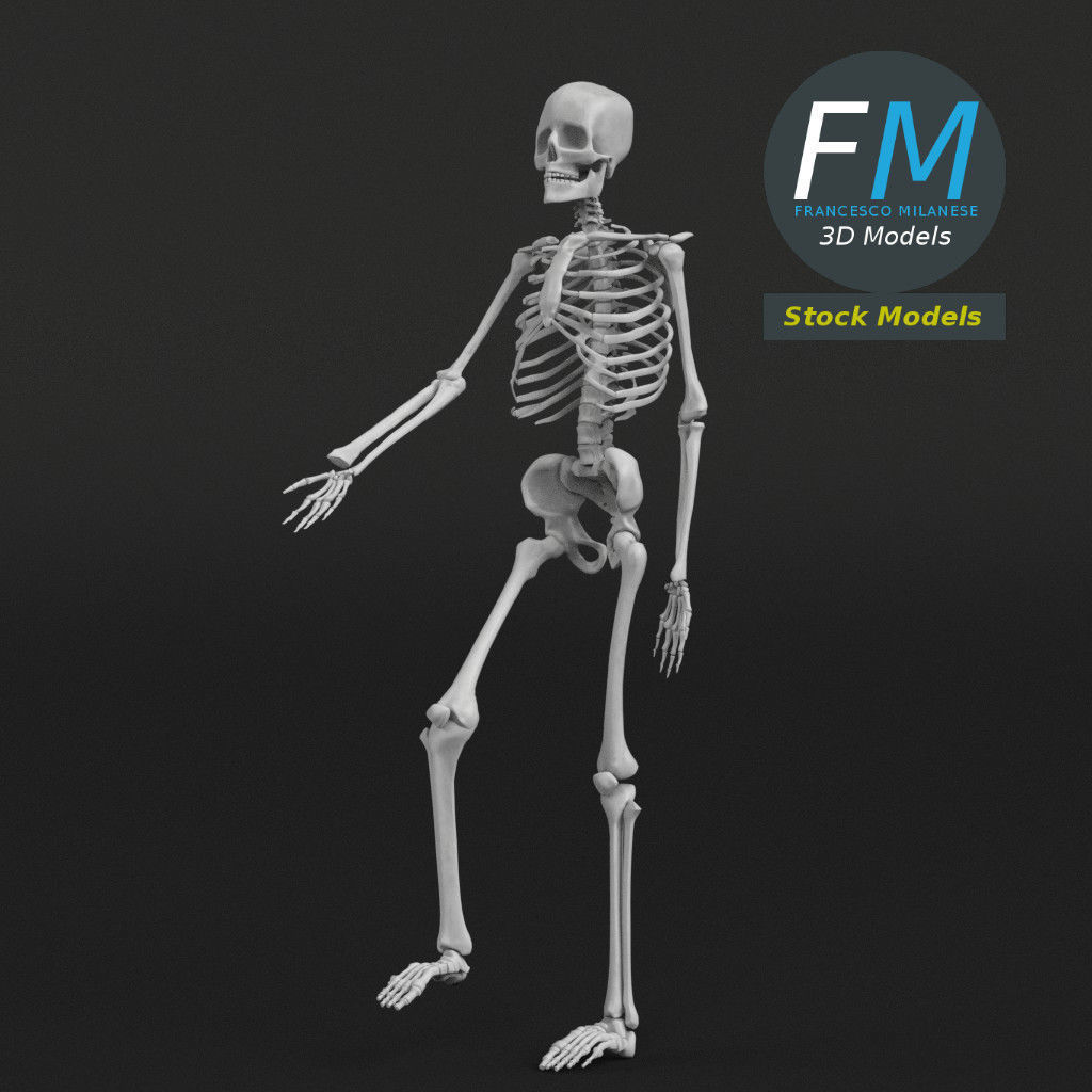 Anatomy - Complete human skeleton 3D model | CGTrader
