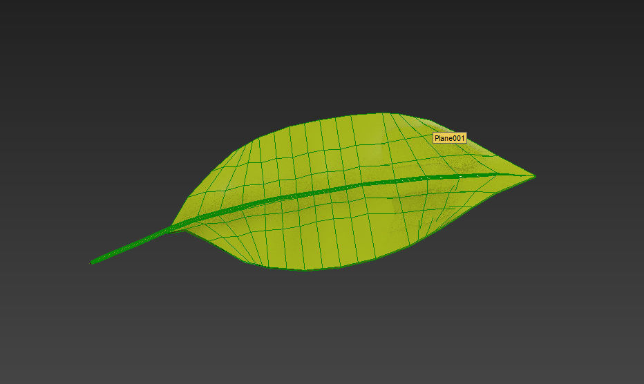 tree leaf free VR / AR / low-poly 3D model | CGTrader