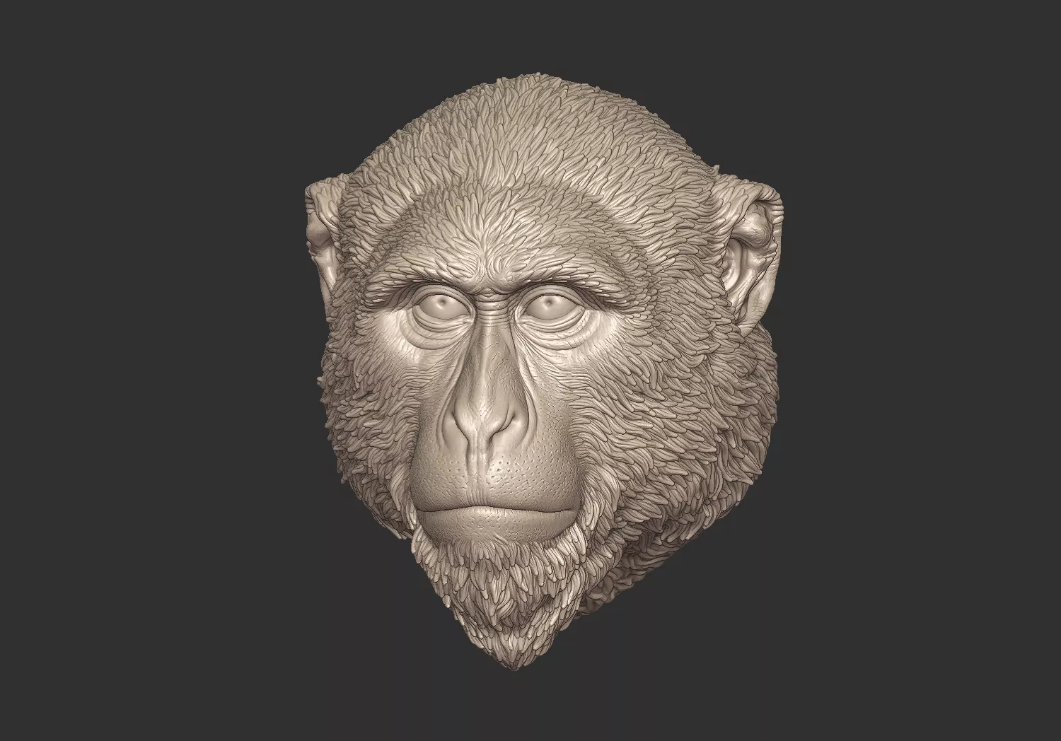 himalayan snow Monkey head stl 3d printable model 3D model 3D printable ...