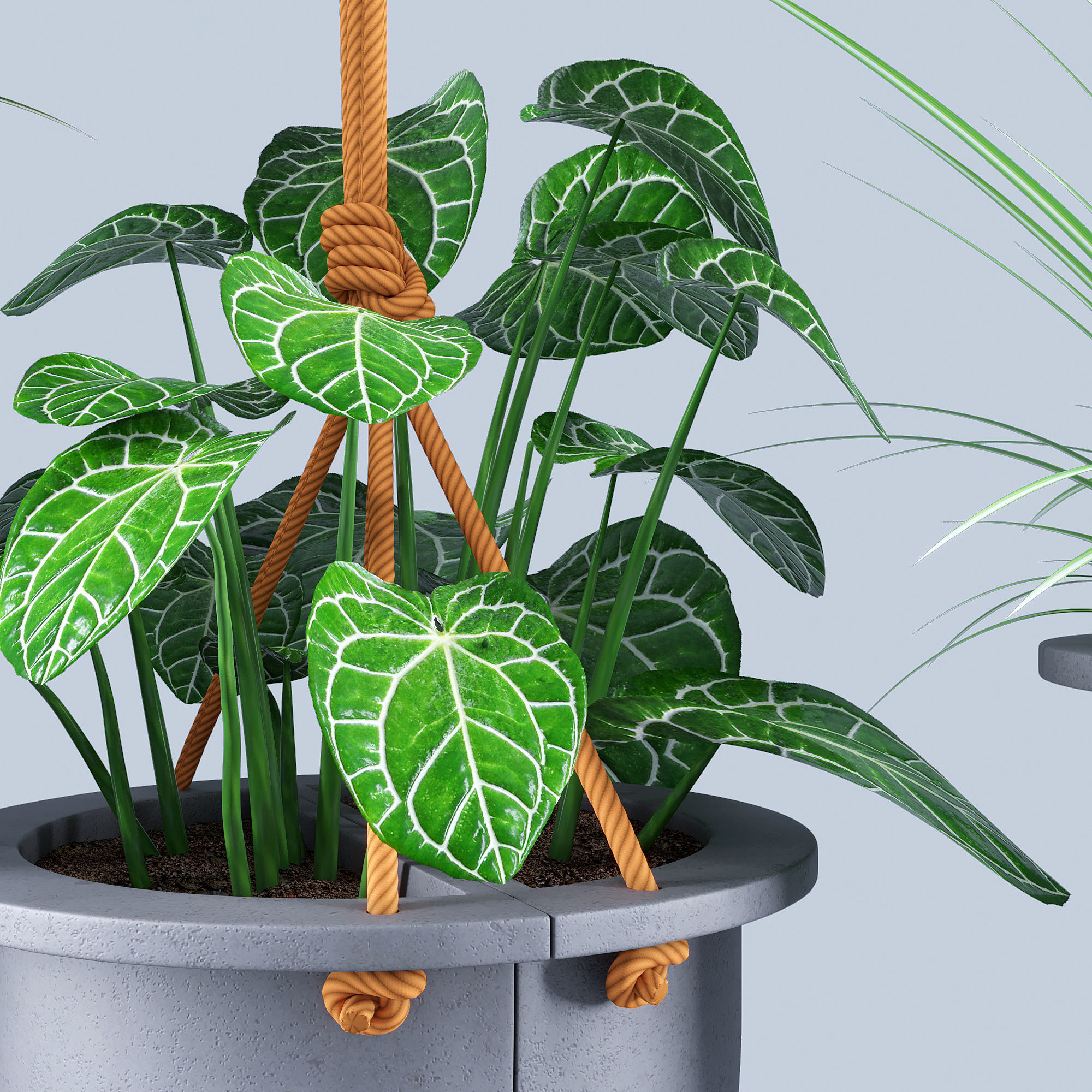 Pot plant wpk-shp 3D model | CGTrader