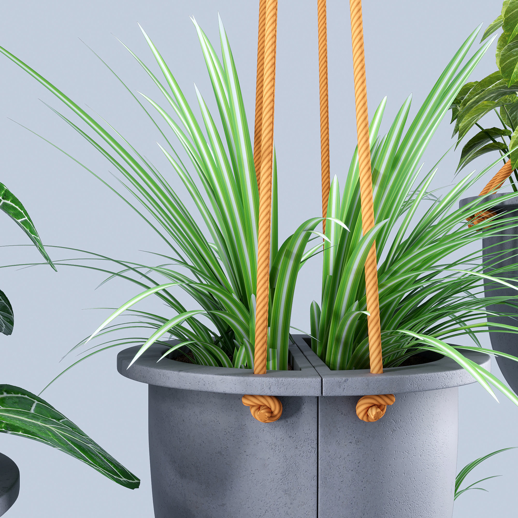 Pot plant wpk-shp 3D model | CGTrader