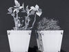 Vee planter 3D model | CGTrader