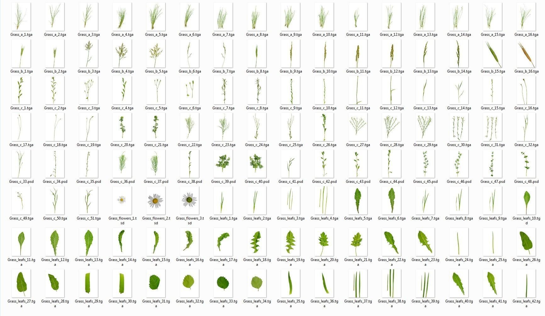 Isolated grass textures Texture | CGTrader