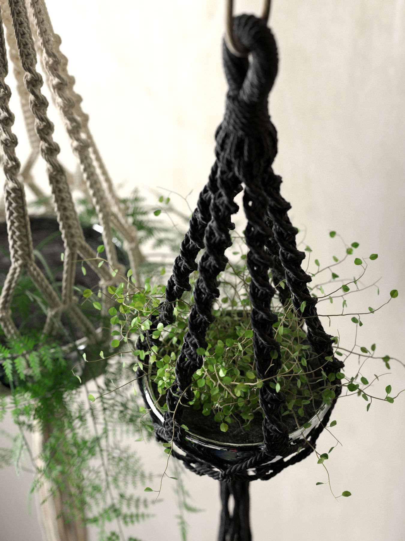 Macrame Hanging Pots with Plants 3D model | CGTrader