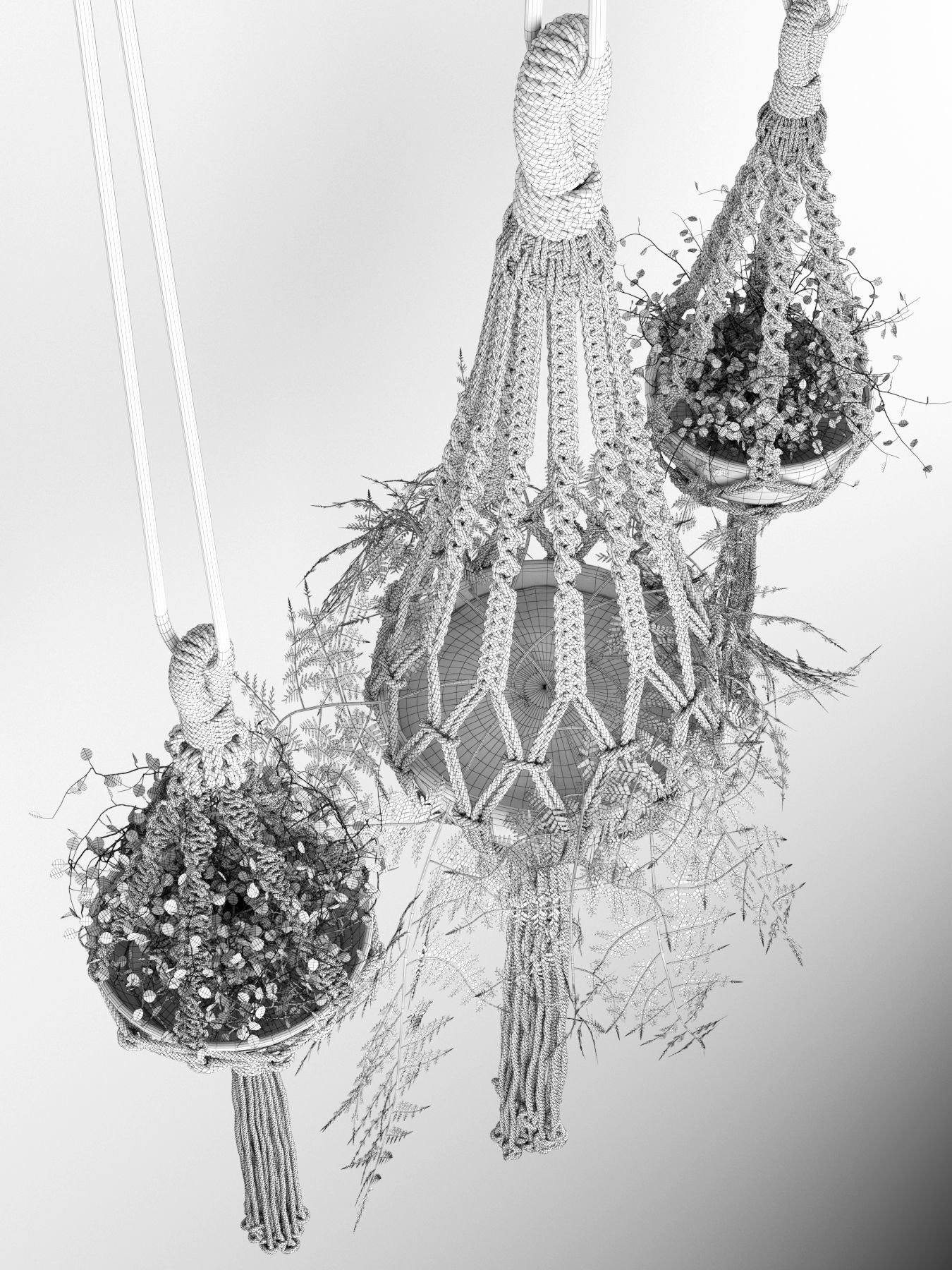 Macrame Hanging Pots with Plants 3D model | CGTrader