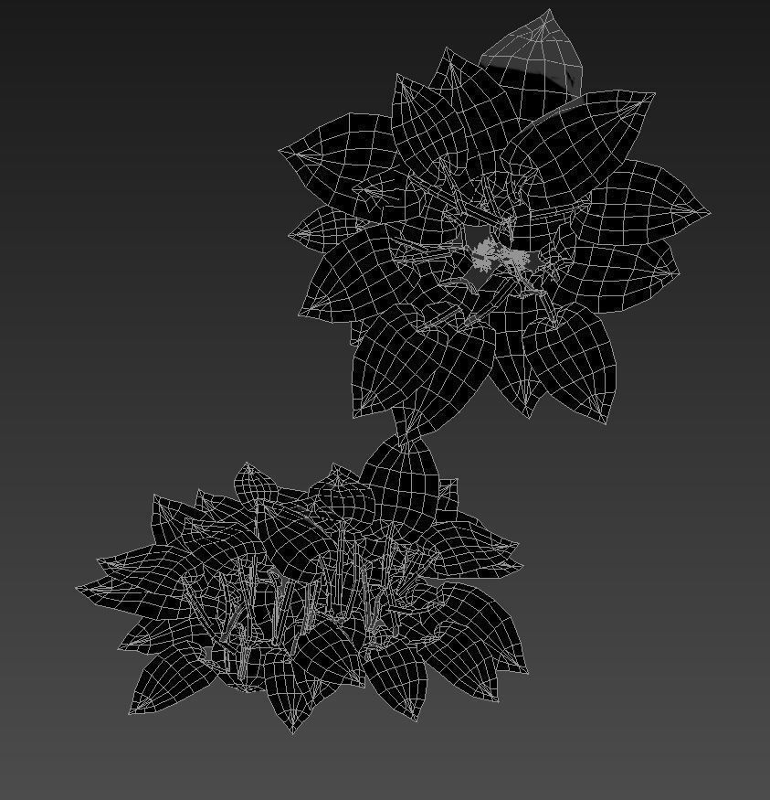 Hosta Blue Angel 3D model | CGTrader