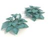 Hosta Blue Angel 3D model | CGTrader