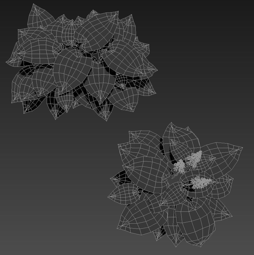 Hosta Blue Angel 3D model | CGTrader