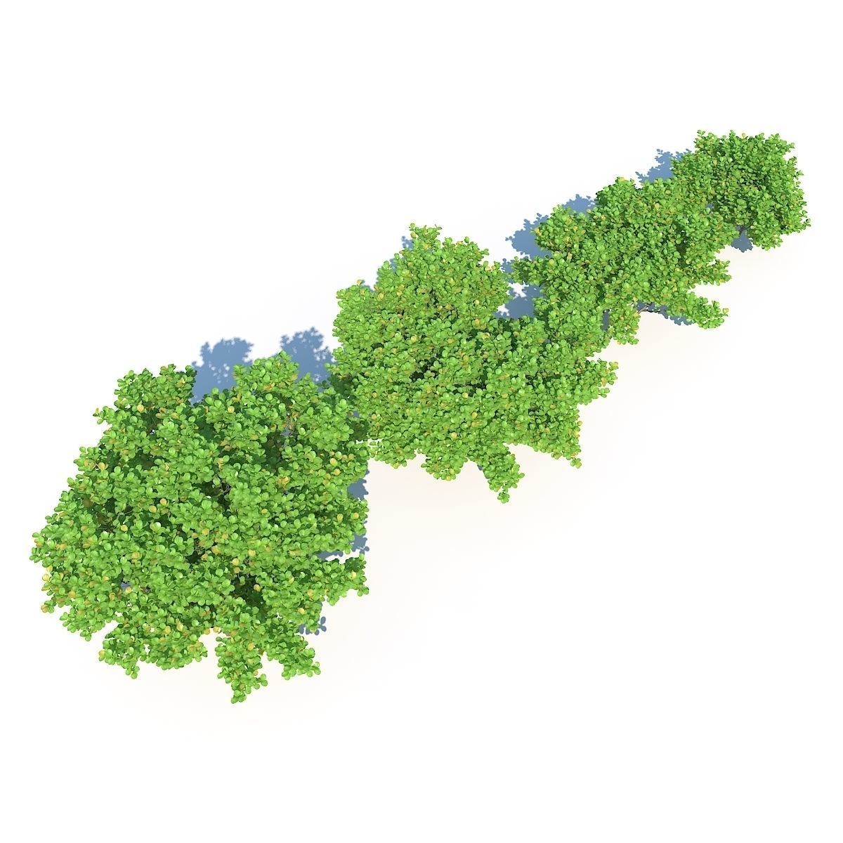 BUSHES SET 01 3D model | CGTrader