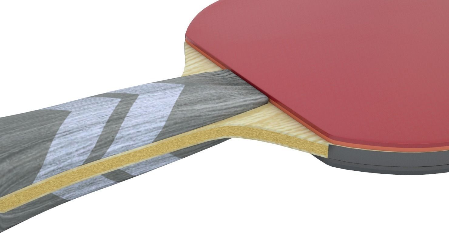 Ping Pong Paddle 3D model | CGTrader