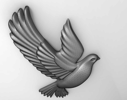 Dove 3D Models | CGTrader