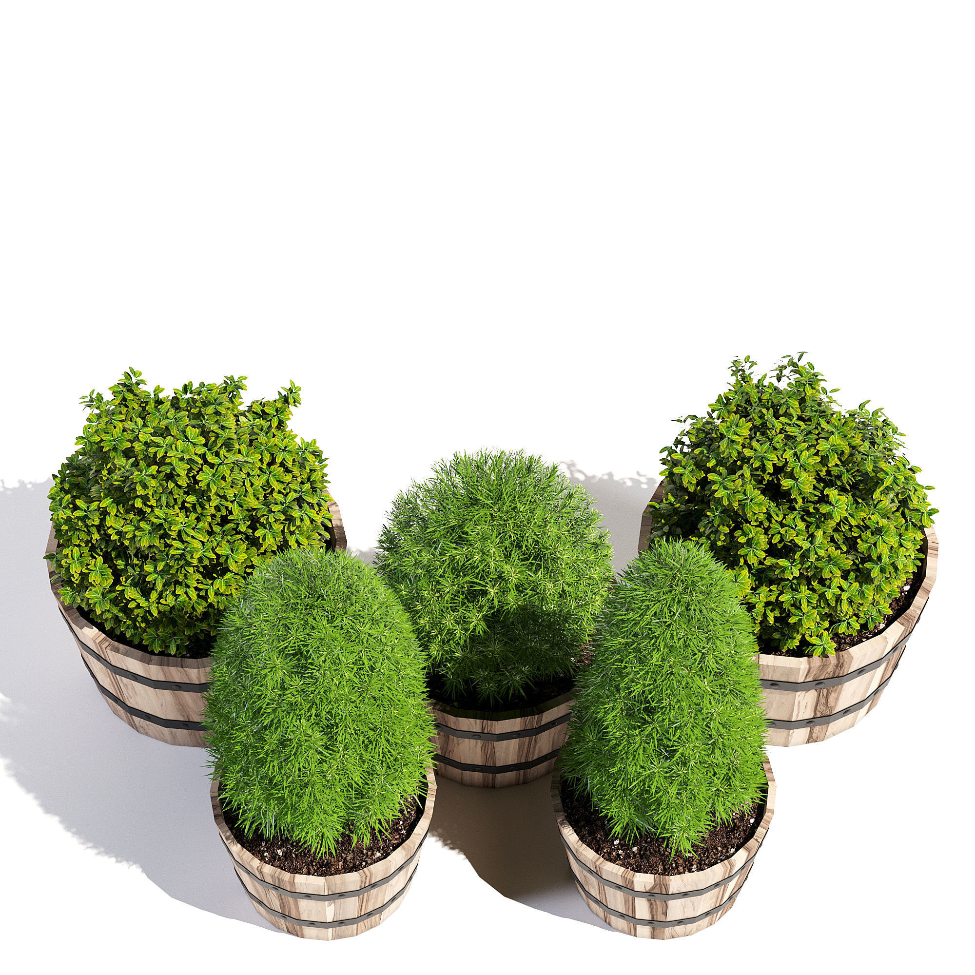 Round planter 3D model | CGTrader