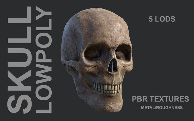 3D model Lowpoly Skull three different skulls VR / AR / low-poly | CGTrader