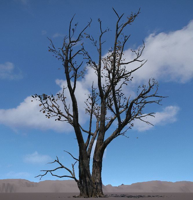 3D model Ancient Tree V7 VR / AR / low-poly | CGTrader