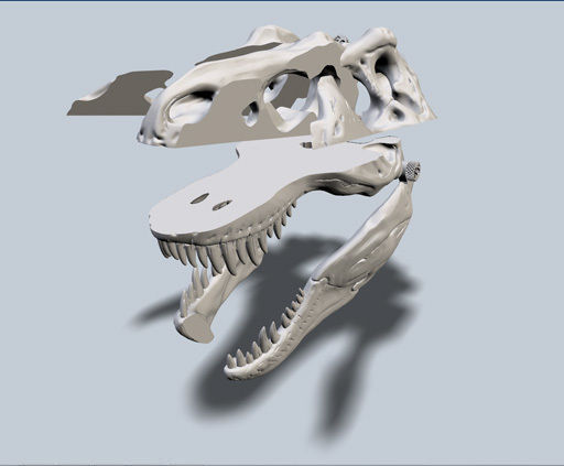 Exploded T-Rex Skull free 3D model 3D printable | CGTrader