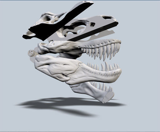 Exploded T-Rex Skull free 3D model 3D printable | CGTrader