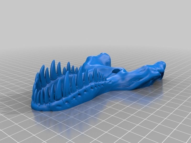 Exploded T-Rex Skull free 3D model 3D printable | CGTrader