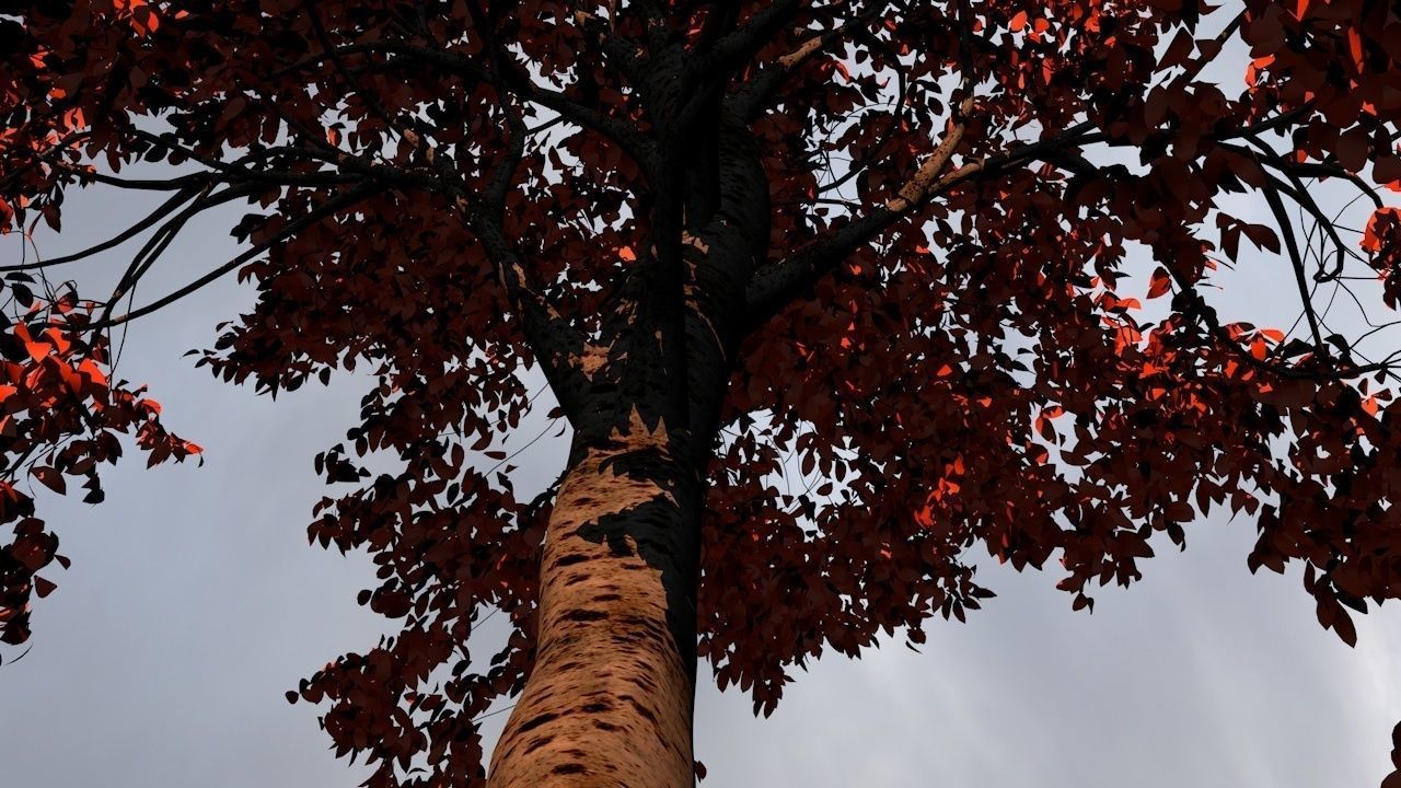 Tree mesh an texture 3D model | CGTrader