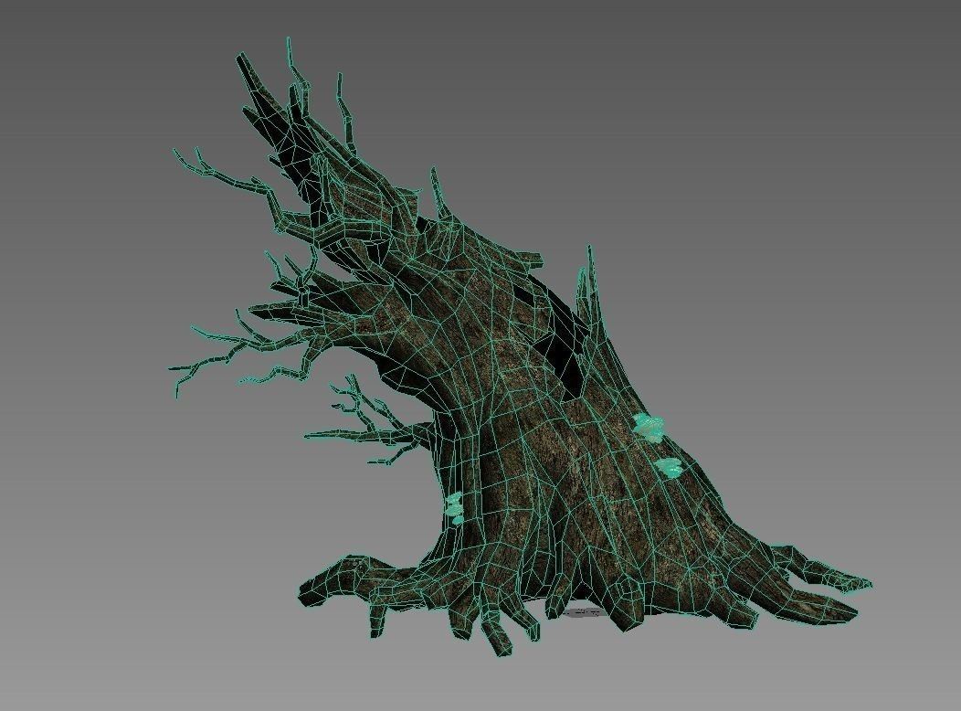 3D model Ancient Tree V12 VR / AR / low-poly | CGTrader