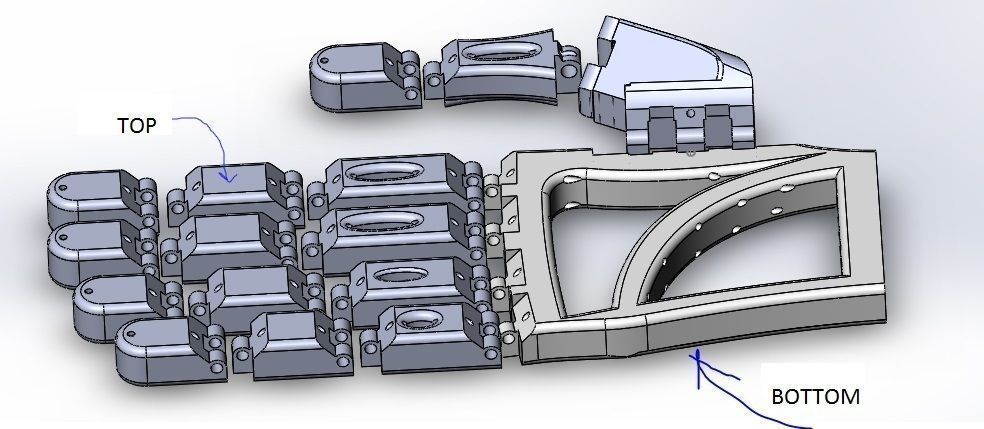 Animatronic hand 3D Model 3D printable .stl - CGTrader.com