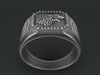 Game of Thrones House Stark Ring free 3D model 3D printable | CGTrader