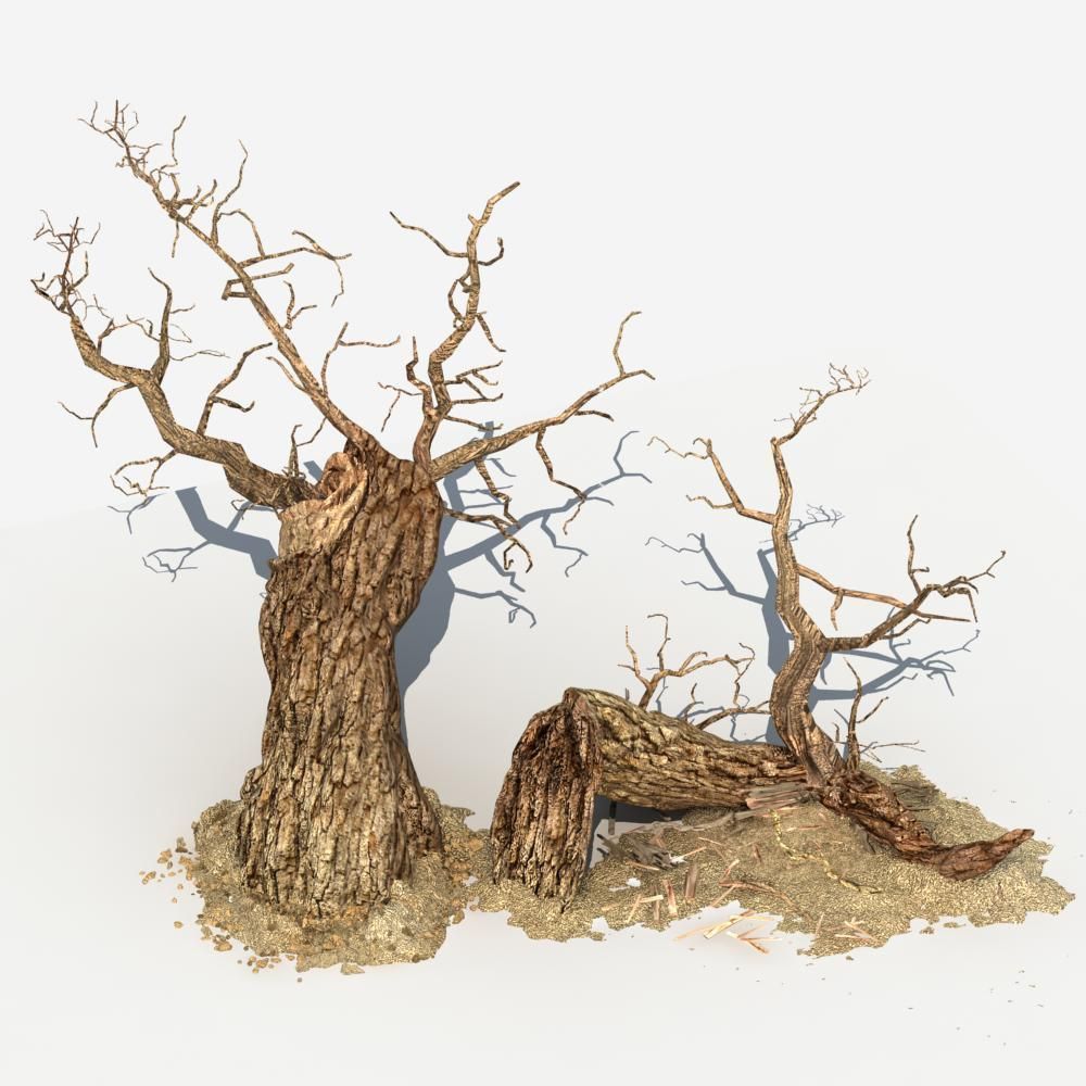 Dry Tree 04 3D model | CGTrader