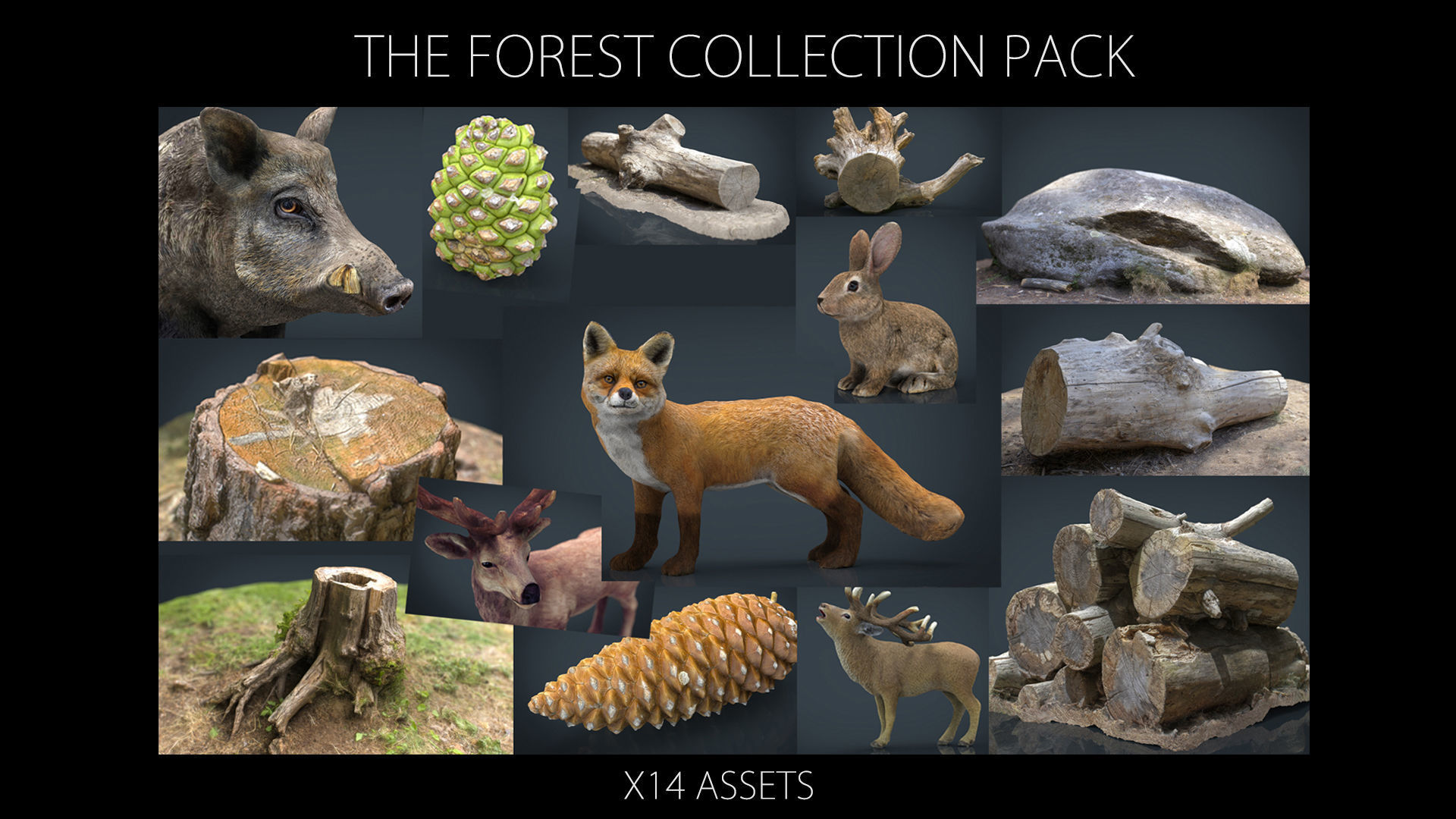 3D model The Forest Collection Pack VR / AR / low-poly | CGTrader