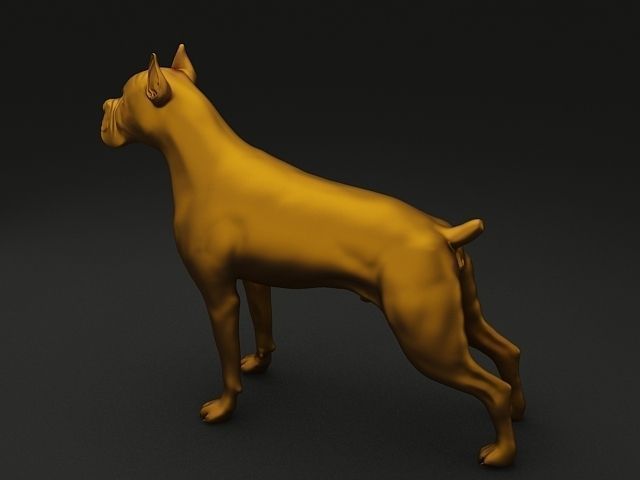 Boxer High Detailed 3D Model 3D model 3D printable | CGTrader