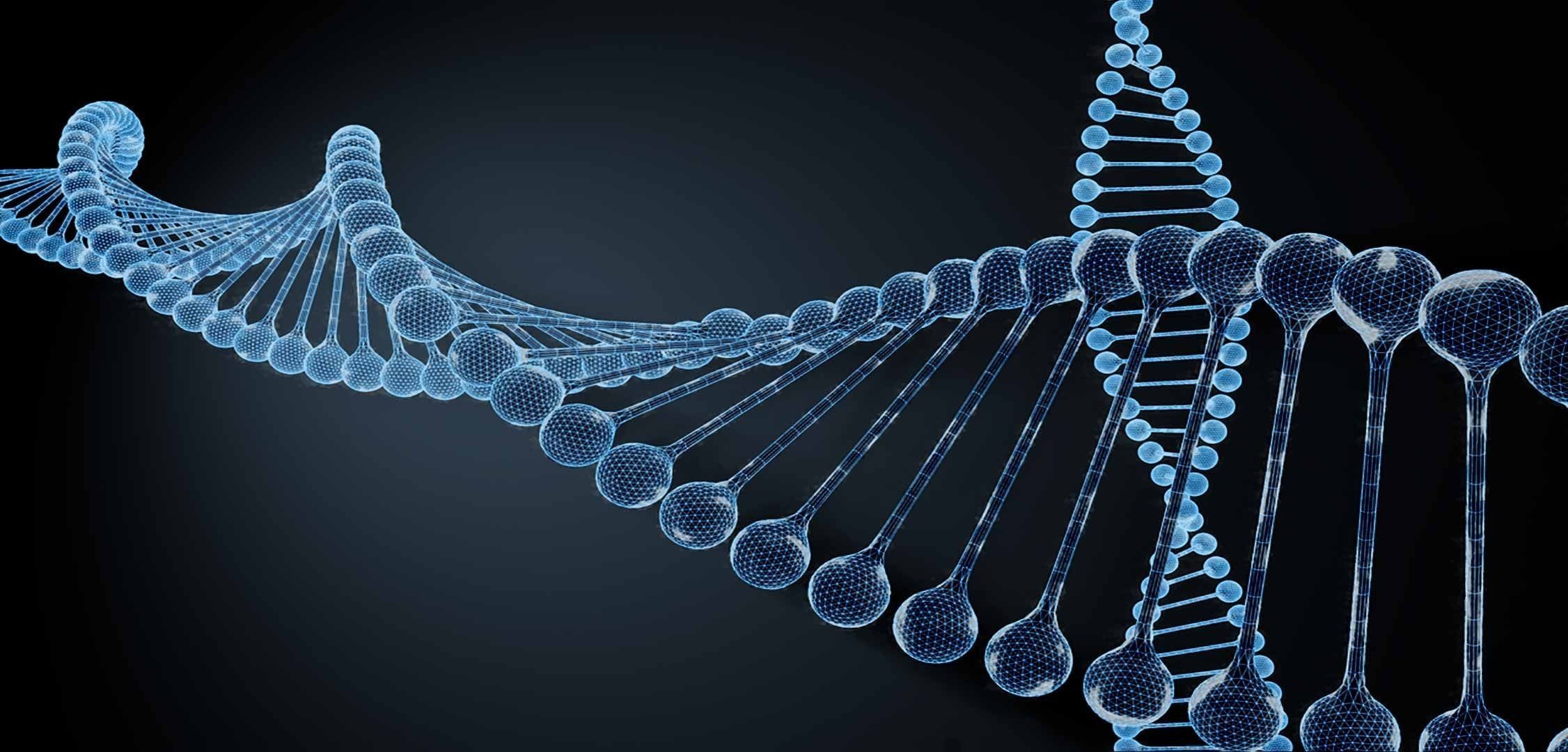 DNA Strand 3D Model c4d CGTrader DNA Strand 3D Model c4d CGTrader